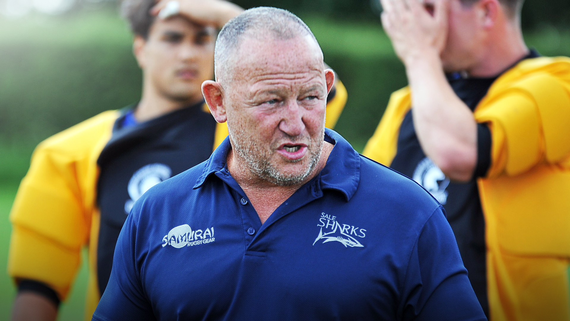 RUGBY UNION: Steve Diamond leaves Sale Sharks with immediate effect ...