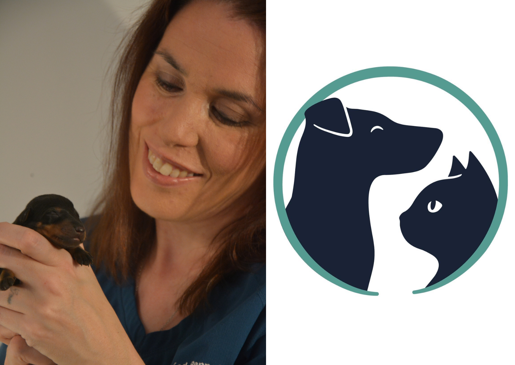 New veterinary practice to open in Salford Quays this Spring | Salford Now